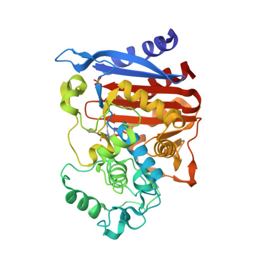 RCSB PDB - 2RCX: AmpC Beta-lactamase in complex with (1R)-1-(2-Thiophen ...