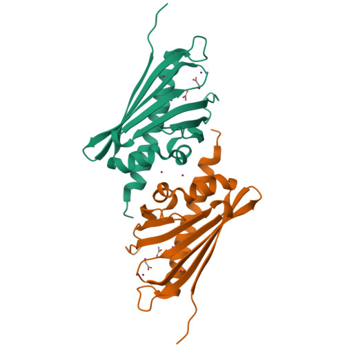 RCSB PDB - 2REZ: Tetracenomycin ARO/CYC NaI Structure