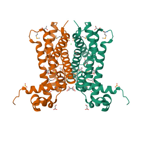 RCSB PDB - 2RHA: Crystal structure of a predicted dna-binding ...