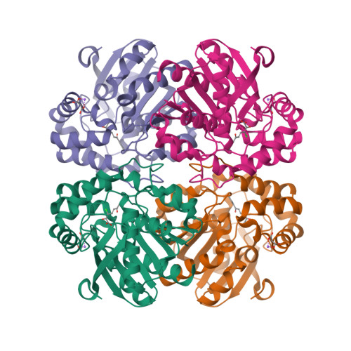 RCSB PDB - 2RHT: Crystal Structure of the S112A mutant of a C-C ...