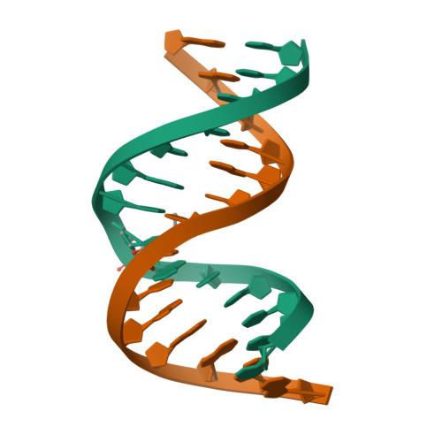 RCSB PDB - 2RRQ: DNA oligomer containing propylene cross-linked cyclic ...