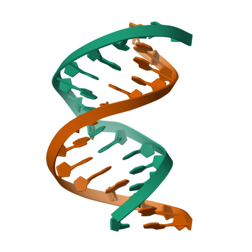 RCSB PDB - 2RRR: DNA oligomer containing ethylene cross-linked cyclic 2 ...