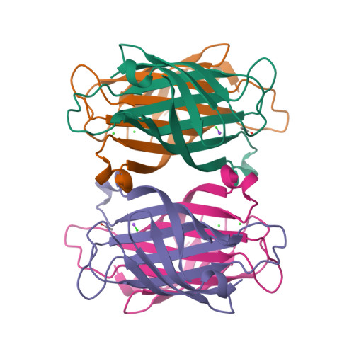 RCSB PDB - 2RTB: APOSTREPTAVIDIN, PH 3.32, SPACE GROUP I222