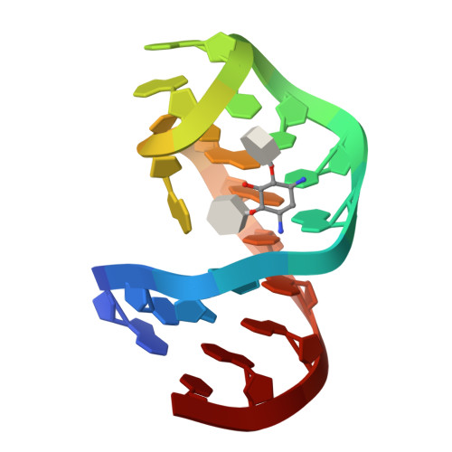 RCSB PDB - 2TOB: SOLUTION STRUCTURE OF THE TOBRAMYCIN-RNA APTAMER ...