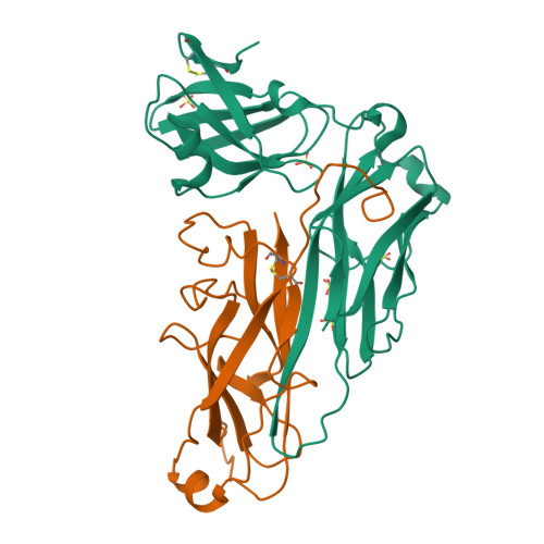 RCSB PDB - 2UY7: Crystal structure of the P pilus rod subunit PapA