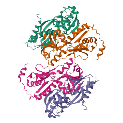RCSB PDB - 2UYF: Single mutant F111L DntR from Burkholderia sp. strain ...