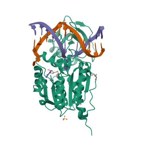 RCSB PDB - 2UZ4: HhaI DNA methyltransferase R165N mutant complex with ...