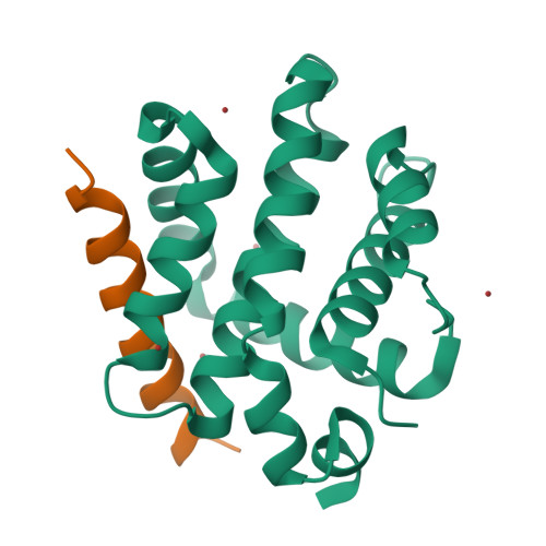 RCSB PDB - 2V6Q: Crystal Structure of a BHRF-1 : Bim BH3 complex