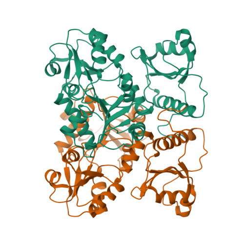 RCSB PDB - 2VAF: Crystal structure of Human Cardiac Calsequestrin