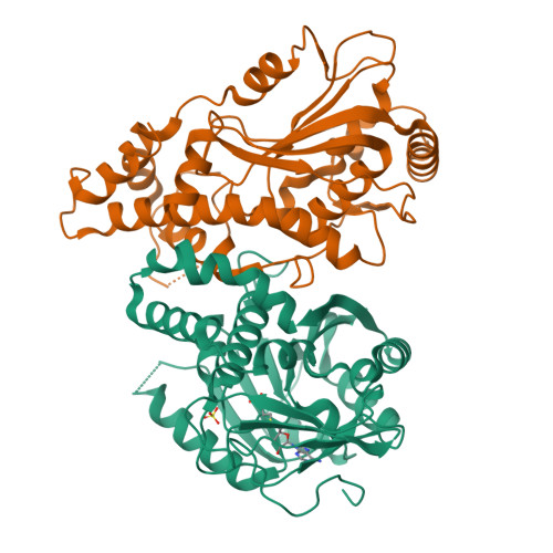 RCSB PDB - 2VDW: Guanosine N7 methyl-transferase sub-complex (D1-D12 ...