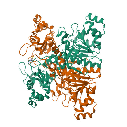 RCSB PDB - 2VJN: Formyl-CoA transferase mutant variant G260A