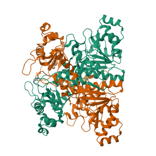 RCSB PDB - 2VJQ: Formyl-CoA transferase mutant variant W48Q