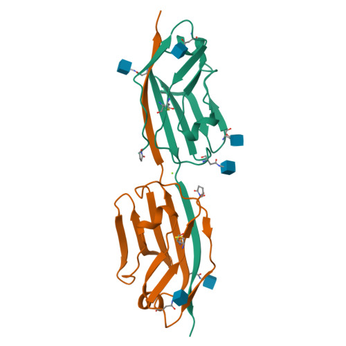 RCSB PDB - 2VSC: Structure of the immunoglobulin-superfamily ectodomain ...