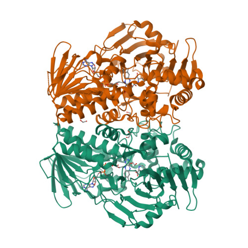 RCSB PDB - 2VVM: The structure of MAO-N-D5, a variant of monoamine ...