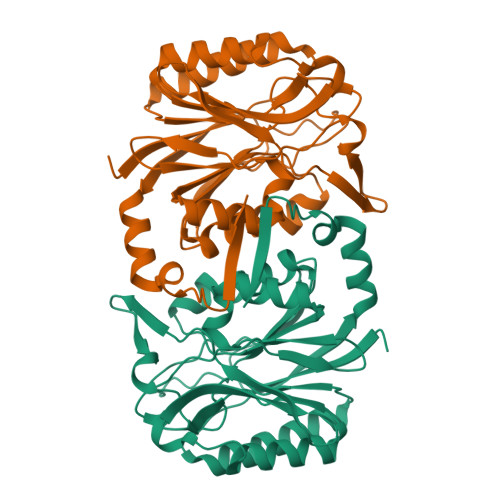 RCSB PDB - 2W1V: Crystal structure of mouse nitrilase-2 at 1.4A resolution