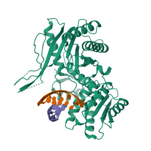 RCSB PDB - 2W42: THE STRUCTURE OF A PIWI PROTEIN FROM ARCHAEOGLOBUS ...