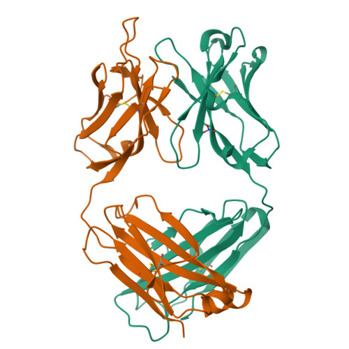 RCSB PDB - 2W60: Anti citrullinated Collagen type 2 antibody acc4