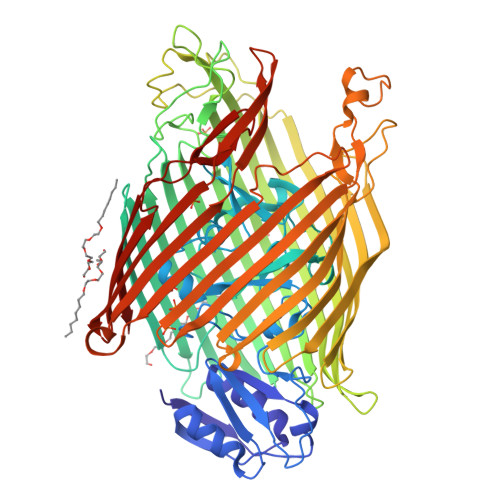 RCSB PDB - 2W78: Structures of P. aeruginosa FpvA bound to heterologous ...