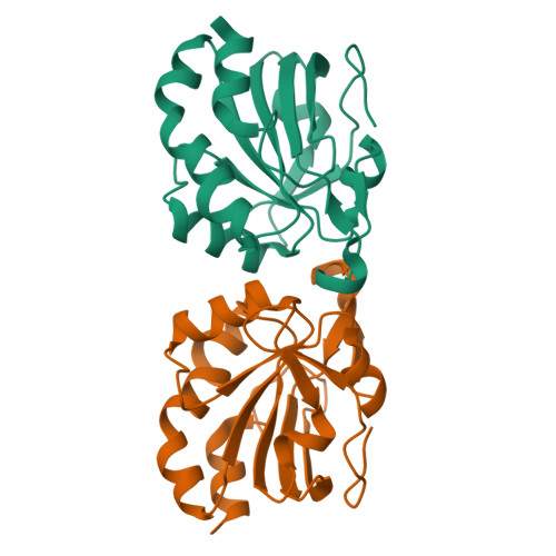 RCSB PDB - 2WFC: Crystal structure of peroxiredoxin 5 from Arenicola Marina