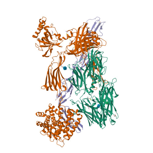 RCSB PDB - 2WII: Complement C3b in complex with factor H domains 1-4