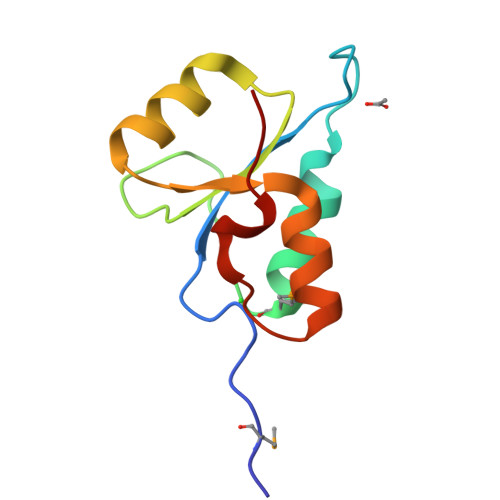 RCSB PDB - 2WT8: Structure of the N-terminal BRCT domain of human ...