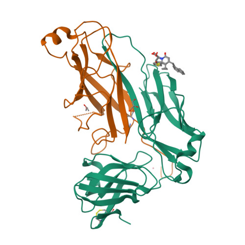 RCSB PDB - 2XG5: E. coli P pilus chaperone-subunit complex PapD-PapH ...