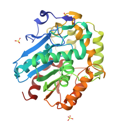 RCSB PDB - 2XT0: Dehalogenase DPpA from Plesiocystis pacifica SIR-I