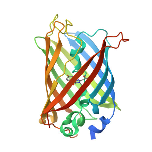 RCSB PDB - 2Y0G: X-ray structure of Enhanced Green Fluorescent Protein ...