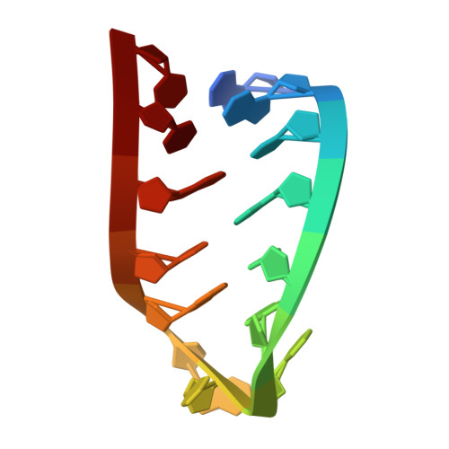 RCSB PDB - 2Y95: Solution structure of AUCG tetraloop hairpin found in ...