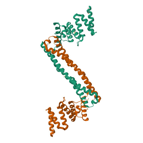 RCSB PDB - 2YQ8: Crystal structure of the SeMet-labeled N-terminal ...