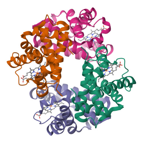 RCSB PDB - 2YRS: Human hemoglobin D Los Angeles: crystal structure