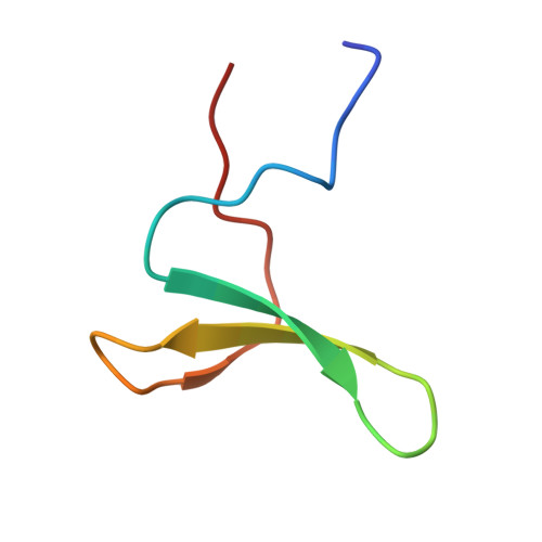 RCSB PDB - 2YSG: Solution structure of the WW domain from the human ...