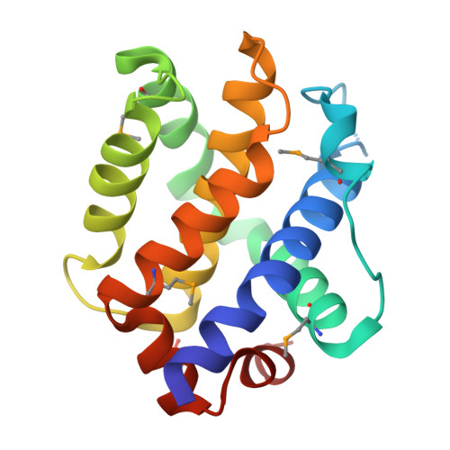 RCSB PDB - 2YV6: Crystal structure of human Bcl-2 family protein Bak