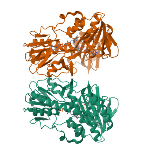 RCSB PDB - 2YVF: Crystal structure of ferredoxin reductase BPHA4 ...