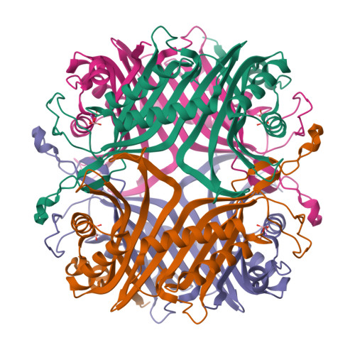 RCSB PDB - 2YZE: Crystal structure of uricase from Arthrobacter globiformis