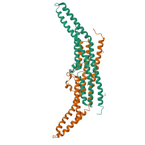 RCSB PDB - 2Z0V: Crystal structure of BAR domain of Endophilin-III