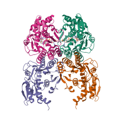 RCSB PDB - 2Z1M: Crystal Structure of GDP-D-Mannose Dehydratase from ...