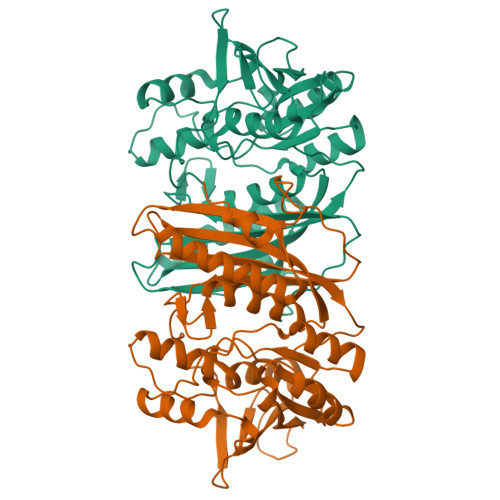 RCSB PDB - 2Z1T: Crystal Structure of Hydrogenase Maturation Protein HypE