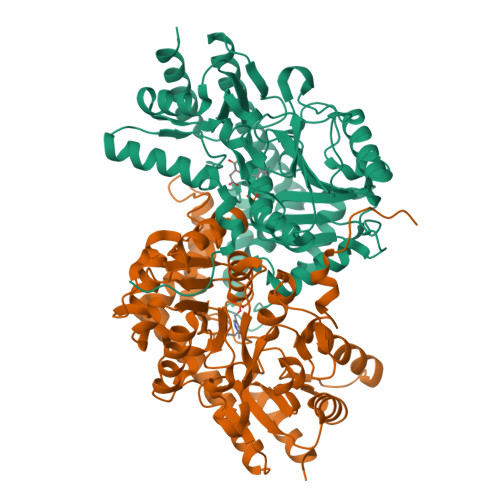 RCSB PDB - 2Z1Z: Crystal structure of LL-Diaminopimelate ...