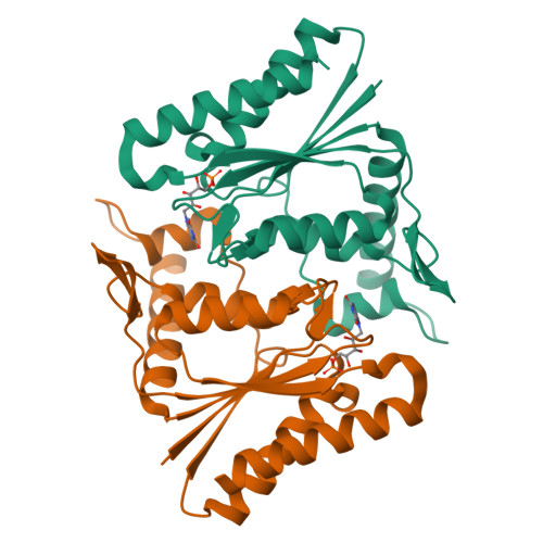 RCSB PDB - 2Z9D: The crystal structure of AzoR (azoreductase) from ...