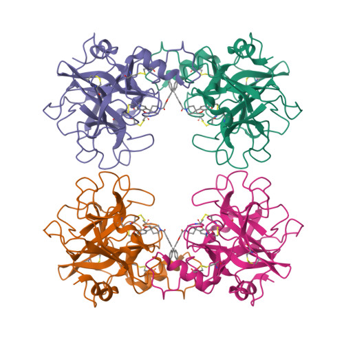 RCSB PDB - 2ZA5: Crystal Structure of human tryptase with potent non ...