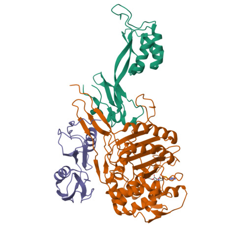 RCSB PDB - 2ZC3: Penicillin-binding protein 2X (PBP 2X) acyl-enzyme ...