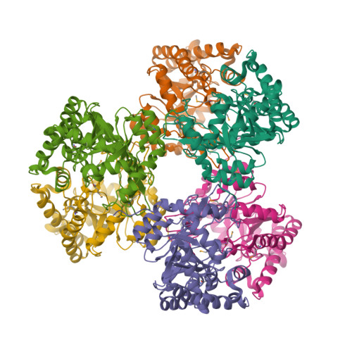 RCSB PDB - 2ZDS: Crystal Structure of SCO6571 from Streptomyces ...