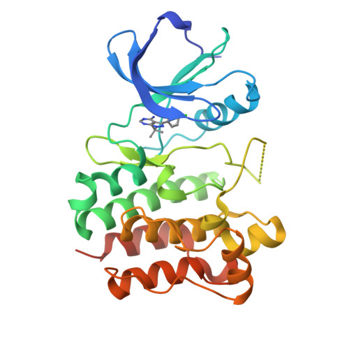 RCSB PDB - 2ZV9: Lyn Tyrosine Kinase Domain-PP2 complex