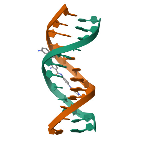 RCSB PDB - 328D: STRUCTURE OF A D(CGCGAATTCGCG)2-SN7167 COMPLEX