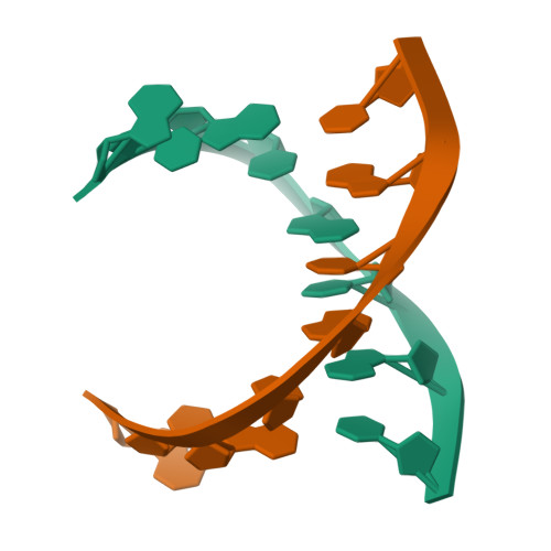 RCSB PDB - 332D: CRYSTAL STRUCTURE OF R(GUGUGUA)D(C) WITH TANDEM G-U/U ...