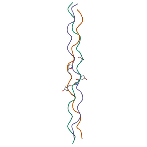 RCSB PDB - 3A0M: Structure of (PPG)4-OVG-(PPG)4, monoclinic, twinned ...