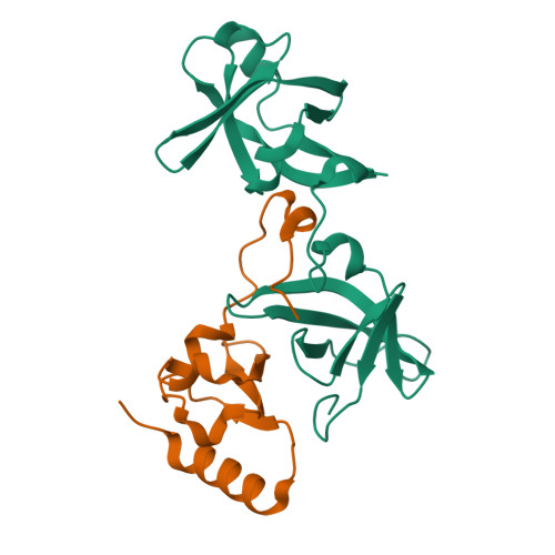 RCSB PDB - 3A1P: Structure of Ribosome maturation protein RimM and ...