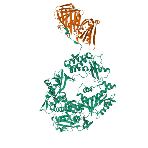 RCSB PDB - 3A2F: Crystal Structure of Pyrococcus furiosus DNA ...