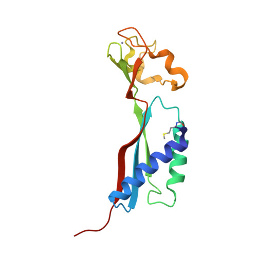 RCSB PDB - 3A43: Crystal structure of HypA
